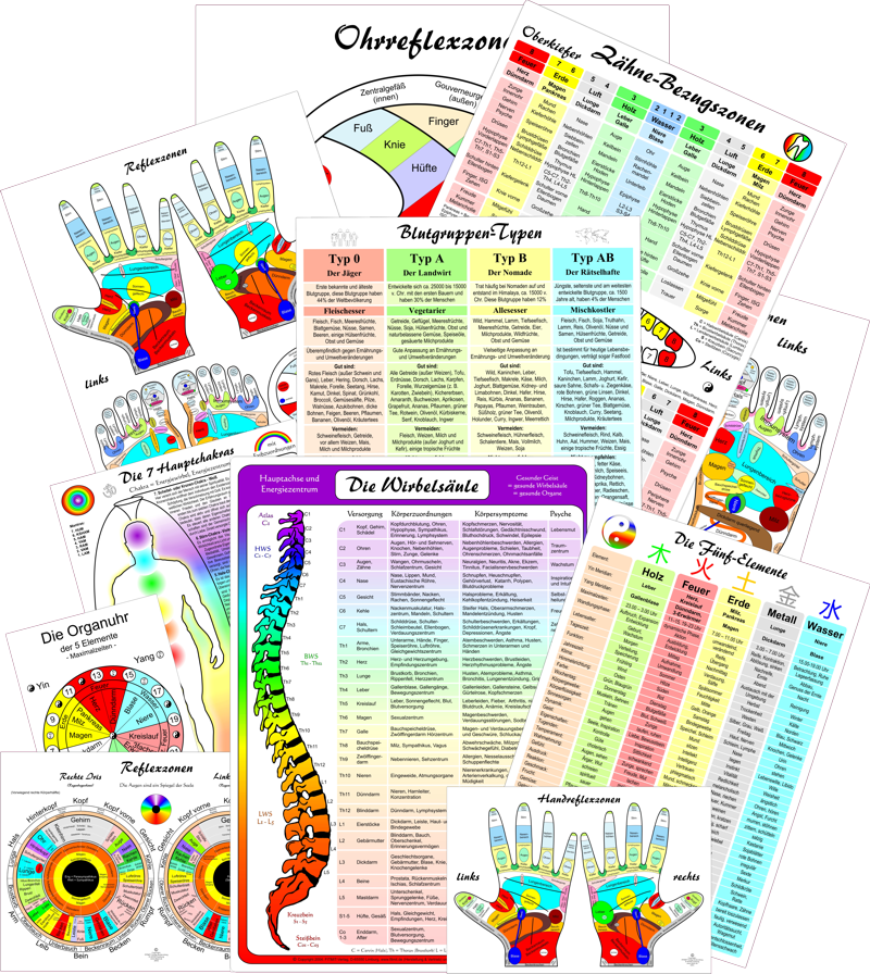 Fitmit-Verlag Aeckersberg | Bücher | Lehrtafeln | Gesundheitsspiele | Postkarten ...